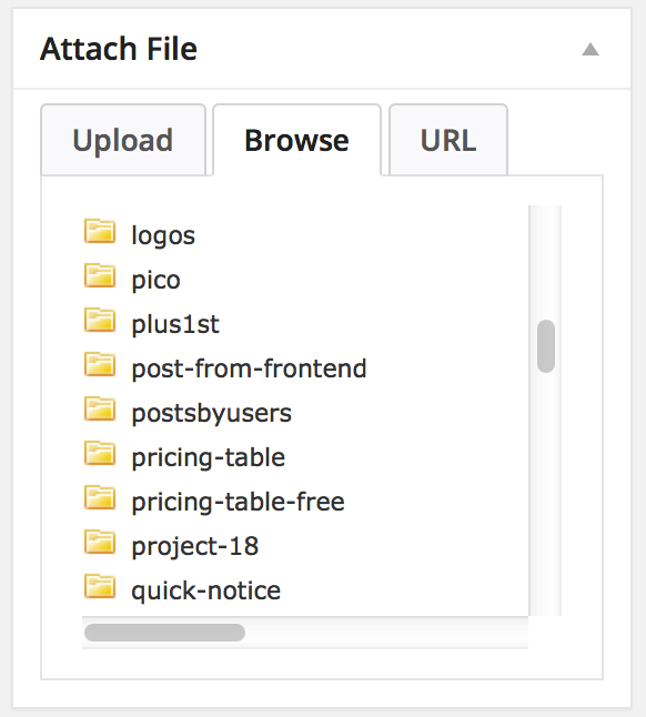 Attach File - WordPress Download Manager